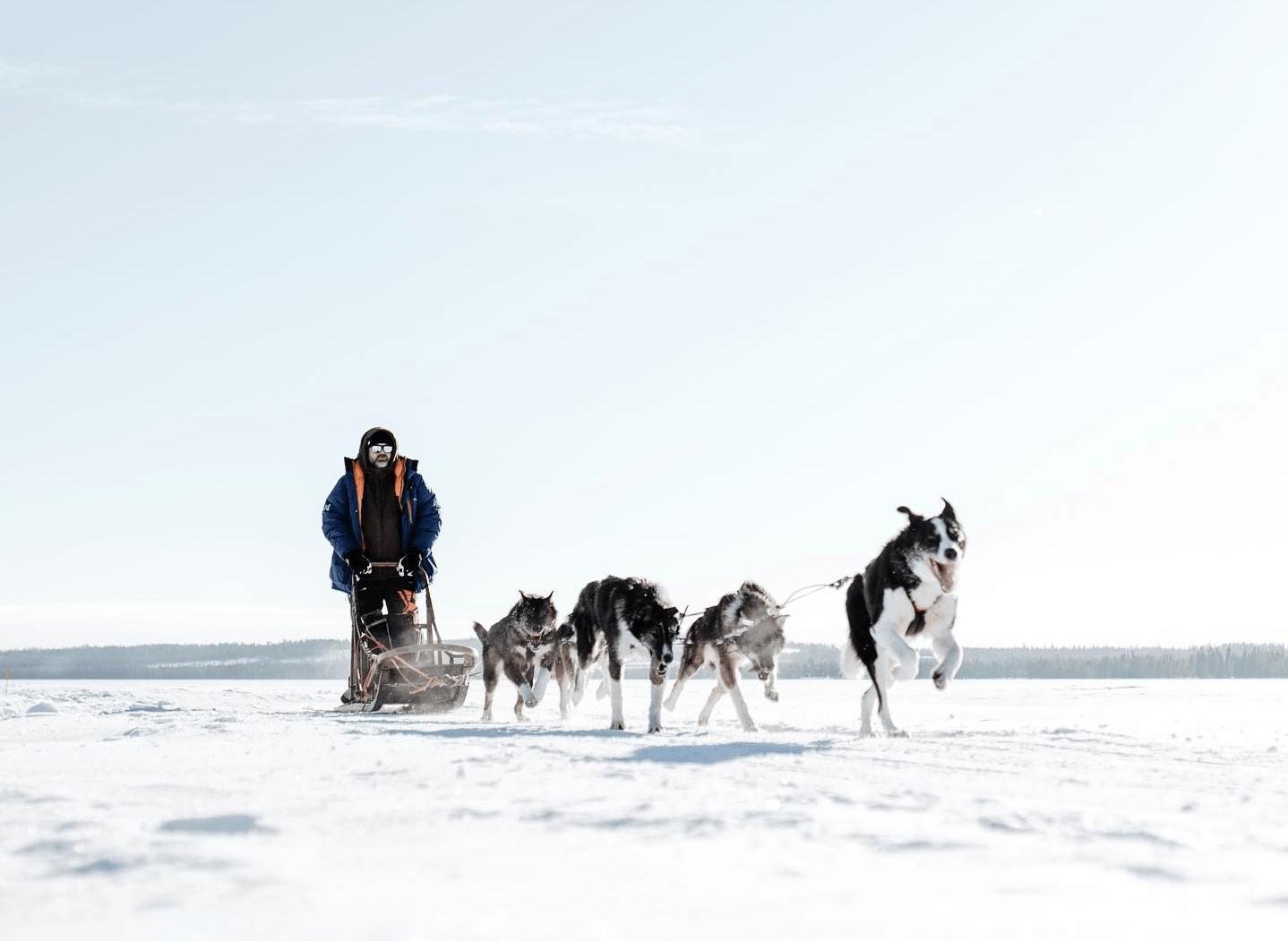 Bearhill Husky | Husky Safaris & Outdoor Adventures in Finnish Lapland!